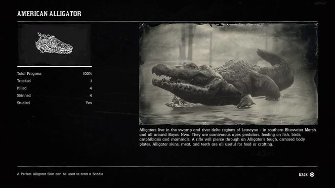 Hunting Page 1 - Red Dead Redemption 2 Walkthrough - Neoseeker