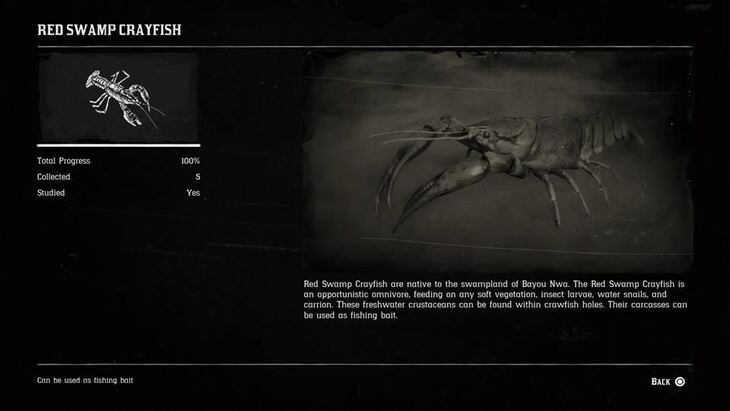 Hunting Page 3 - Red Dead Redemption 2 Walkthrough - Neoseeker