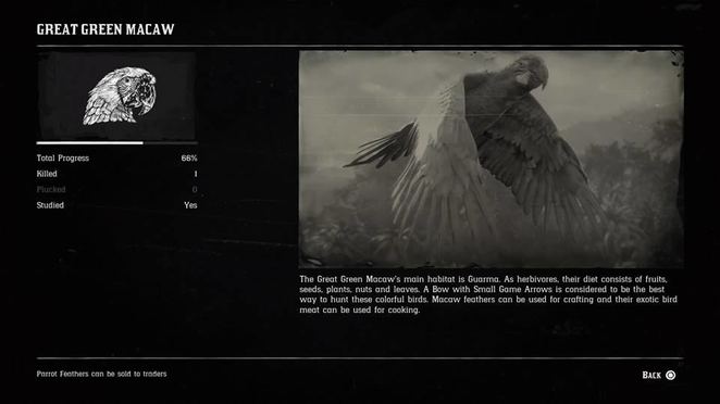 Hunting Page 7 - Red Dead Redemption 2 Walkthrough - Neoseeker