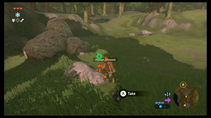 Resources - The Legend of Zelda: Breath of the Wild Walkthrough - Neoseeker