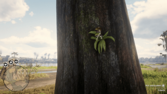 Exotics Collectibles - Red Dead Redemption 2 - Neoseeker