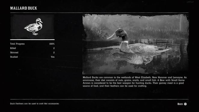 Hunting Page 4 - Red Dead Redemption 2 Walkthrough - Neoseeker