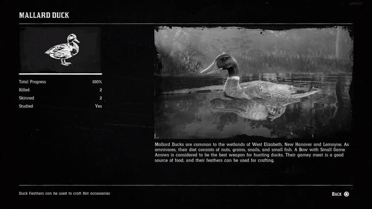 Hunting Page 4 - Red Dead Redemption 2 Walkthrough - Neoseeker