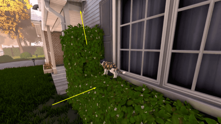 How to Catch a Bird - Copycat (2024) Walkthrough - Neoseeker