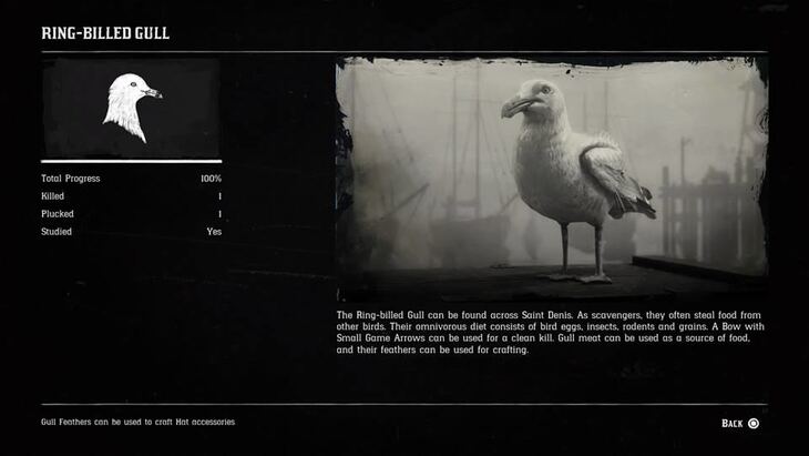 Hunting Page 9 - Red Dead Redemption 2 Walkthrough - Neoseeker