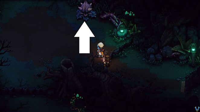 Sea of Stars - Cursed Woods Walkthrough - Neoseeker