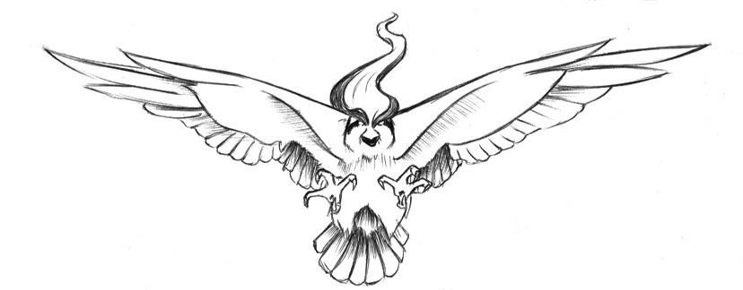 Pidgeot « Pokémon Fanart