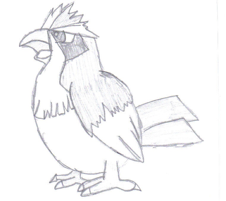 Pidgey « Pokémon Fanart