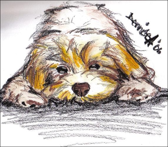 Doggy « Nintendogs Fanart