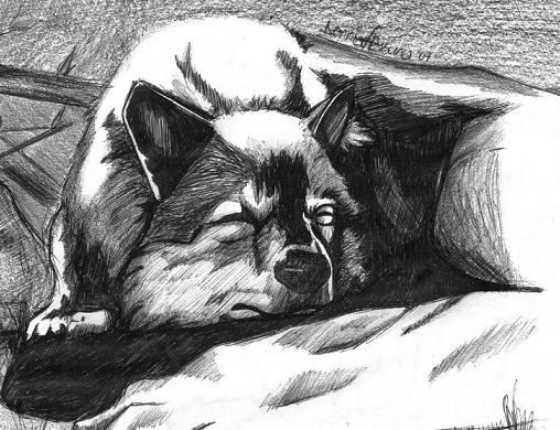 Husky « Nintendogs Fanart