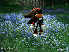 Shadow at Peace from Amethyst10 - hosted by Neoseeker
