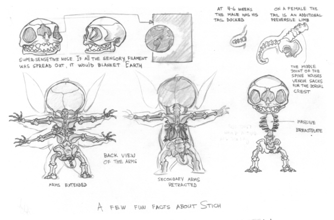 Stitch's Skeleton Structure. Artist: Unknown from Stitch - hosted by ...