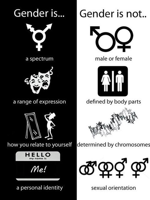 What Is Gender From Dynamite Hosted By Neoseeker what-is-gender-from-dynamite-hosted-by-neoseeker