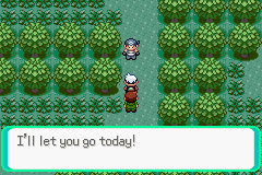 DT Jesus's Adventures Through the Hoenn Region (Emerald Randomlocke ...