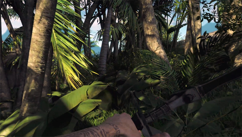 Far Cry 3 trailer provides visual guide to Rook Islands and everything ...