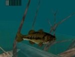 In-Fisherman Bass Hunter 64 Screenshot