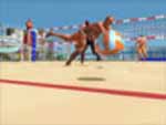 Summer Heat Beach Volleyball Screenshots - Neoseeker