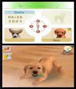 Nintendogs: Labrador and Friends Screenshot