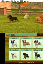 nintendogs + cats: Golden Retriever & New Friends Screenshot