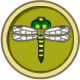 Banded Dragonfly - Animal Crossing Wiki - Neoseeker