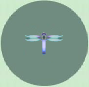 Common Dragonfly - Animal Crossing Wiki - Neoseeker