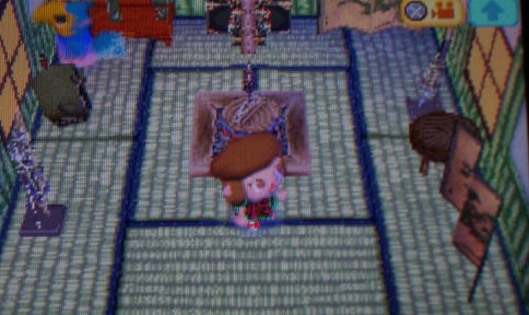 Cyrano - Animal Crossing Wiki - Neoseeker