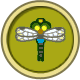 Darner Dragonfly - Animal Crossing Wiki - Neoseeker