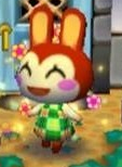 Joy - Animal Crossing Wiki - Neoseeker