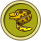 Moray Eel - Animal Crossing Wiki - Neoseeker