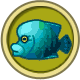 Napoleonfish - Animal Crossing Wiki - Neoseeker