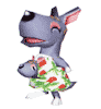 Kangaroos - Animal Crossing Wiki - Neoseeker
