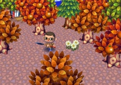Seasons - Animal Crossing Wiki - Neoseeker