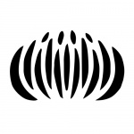 Gotei 13 Divisions - Bleach Wiki - Neoseeker