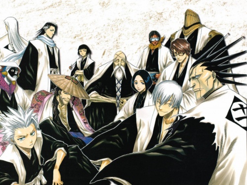 Gotei 13 - Bleach Wiki - Neoseeker