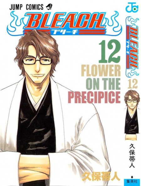 Bleach Volume 12 - Bleach Wiki - Neoseeker