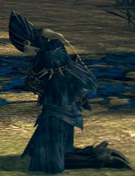 Lord's Blade Ciaran - Dark Souls Wiki - Neoseeker