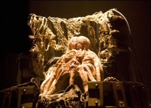 Dalek Variants - Doctor Who Wiki - Neoseeker