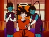 DBZ Episode 14 - Princess Snake - Dragon Ball Wiki - Neoseeker