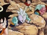 DBZ Episode 220 - The Wizard's Curse - Dragon Ball Wiki - Neoseeker