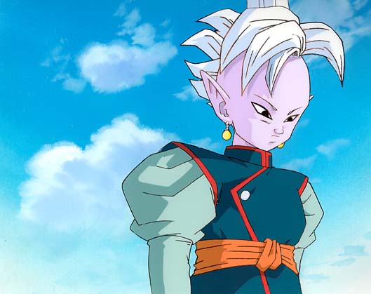Supreme Kai - Dragon Ball Wiki - Neoseeker