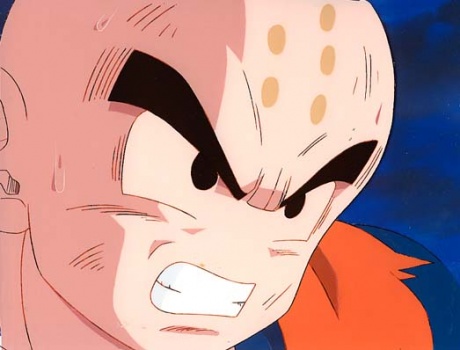 Krillin - Dragon Ball Wiki - Neoseeker