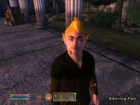 Adoring Fan - The Elder Scrolls Wiki - Neoseeker