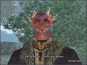 Ajum-Kajin - The Elder Scrolls Wiki - Neoseeker