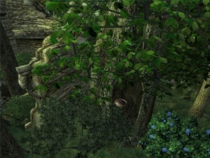 The Purification - The Elder Scrolls Wiki - Neoseeker