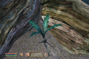 Nirnroot - The Elder Scrolls Wiki - Neoseeker