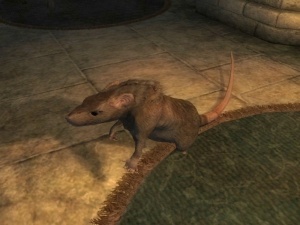 Schemer - The Elder Scrolls Wiki - Neoseeker