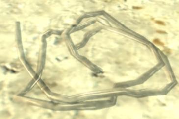 Surgical Tubing - Fallout Wiki - Neoseeker