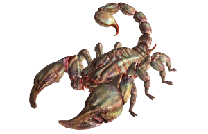 Albino Radscorpion - Fallout Wiki - Neoseeker