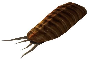 Radroach Meat - Fallout Wiki - Neoseeker