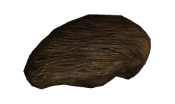 Wig - Fallout Wiki - Neoseeker